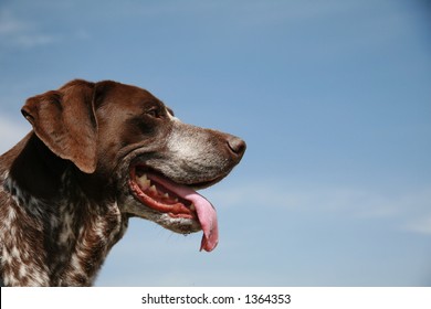 97 Gsp On Point Images, Stock Photos & Vectors | Shutterstock