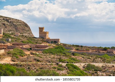 210 Ghar Lapsi Images, Stock Photos & Vectors | Shutterstock