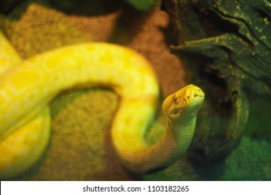 154 Underwater partition Images, Stock Photos & Vectors | Shutterstock