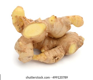 Ginger Stock Photo 499120789 | Shutterstock