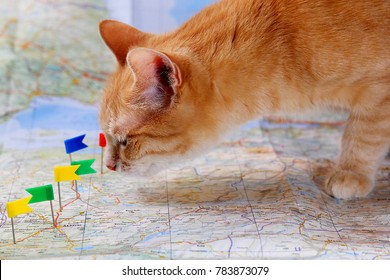5,487 Cat Map Images, Stock Photos & Vectors | Shutterstock