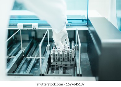 Gloved Hand Putting Test Sample Into Stock Photo 1629645139 | Shutterstock