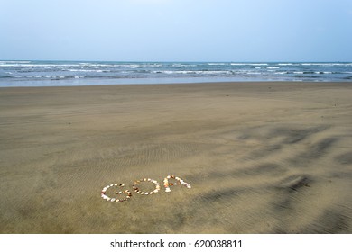 166 Seashell from goa Images, Stock Photos & Vectors | Shutterstock