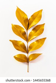 Gold Leaf Design Elements Isolated White Stock Photo 1445655368 ...