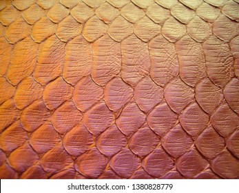Gold Python Skin Texture Genuine Leather Stock Photo 1380828779 ...