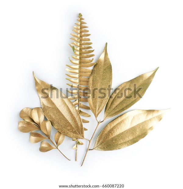 Golden Leaf Design Elements Decoration Elements Stock Photo 660087220 ...