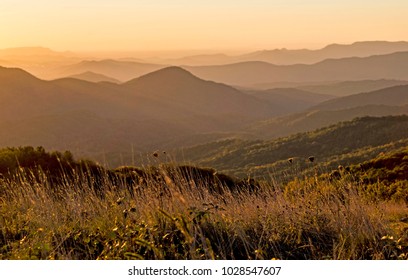 113 Max patch tennessee Images, Stock Photos & Vectors | Shutterstock