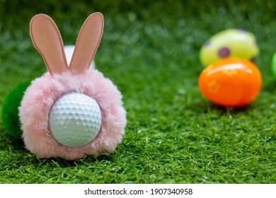 723 Rabbit golf Images, Stock Photos & Vectors | Shutterstock