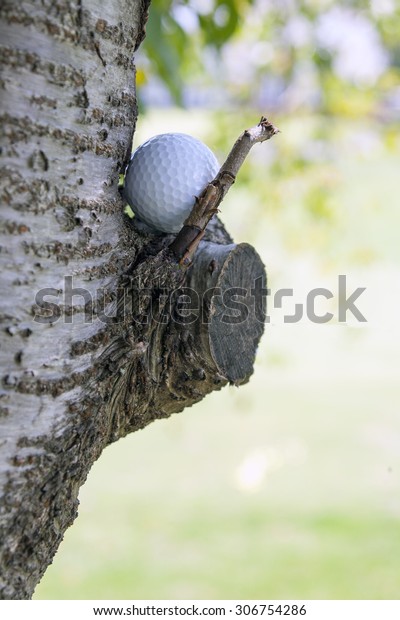 Golf Ball Tree 2 Stock Photo (Edit Now) 306754286