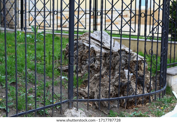 Good Example Poor Landscaping Background Stock Photo (Edit Now) 1717787728