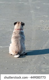 160 I Got Your Back Stock Photos, Images & Photography | Shutterstock