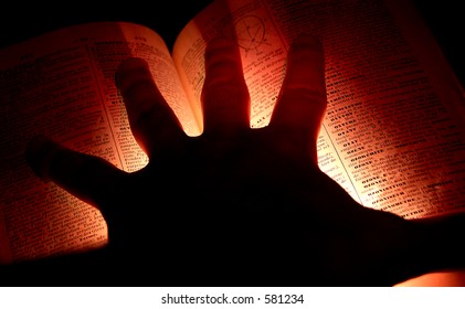 Stock Photo and Image Portfolio by Andrei Contiu | Shutterstock