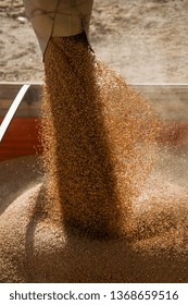 Grain Elevator Storage Loading Grain Truck Stock Photo 1368659516 ...