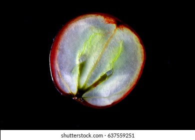 2,124 imágenes de "grape cross section" - Imágenes, fotos y vectores de ...