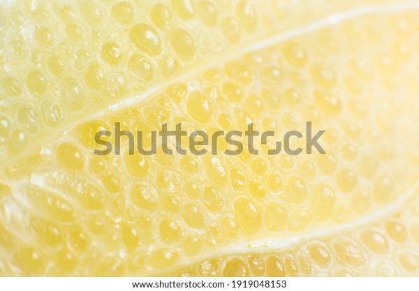 Grapefruit Texture Inside On White Background Stock Photo 1919048153 ...