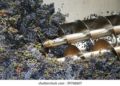 6,439 Pressing grapes Images, Stock Photos & Vectors | Shutterstock