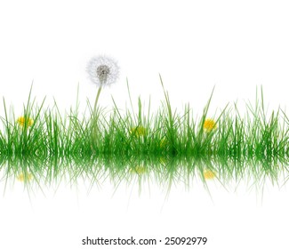 Grass Stock Photo 25092979 | Shutterstock