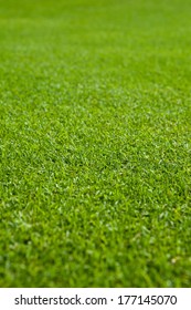 243,745 Gazon perspective Images, Stock Photos & Vectors | Shutterstock