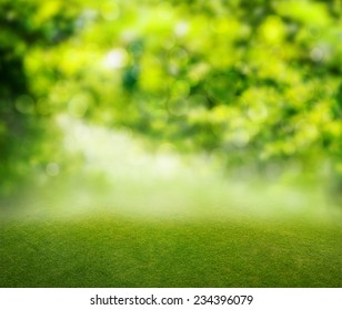 Grass Background Stock Photo 234396079 | Shutterstock