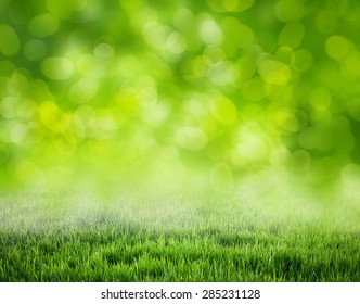Grass Background Stock Photo 285231128 | Shutterstock