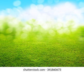 Green Grass Background Stock Photo 522667174 | Shutterstock