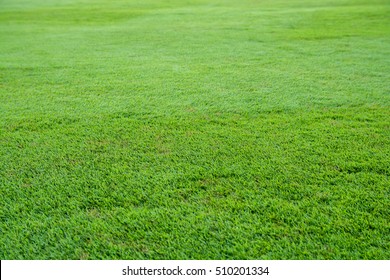 217,838 Grass perspective Images, Stock Photos & Vectors | Shutterstock
