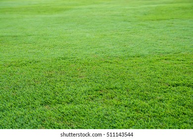 97,232 Grass field perspective Images, Stock Photos & Vectors ...