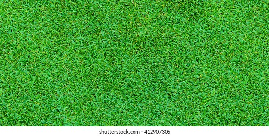 Grass Background Lower Third Stock Photo 412907305 | Shutterstock