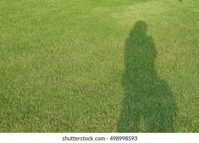 Grass Background Shadow Stock Photo 498998593 | Shutterstock