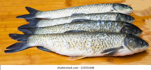 Grass carp Images, Stock Photos & Vectors | Shutterstock
