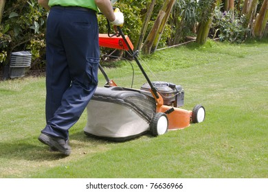 222,269 Grass Cuttings Images, Stock Photos & Vectors | Shutterstock