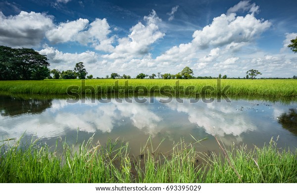 Grass Field Cloud Sky Stock Photo 693395029 | Shutterstock
