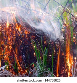 Grass Fire Background Stock Photo 144738826 | Shutterstock