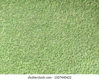 Grass Floor Surface Texture Background Stock Photo 1507440422 ...