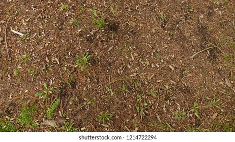 17,584 Mud grass texture Images, Stock Photos & Vectors | Shutterstock