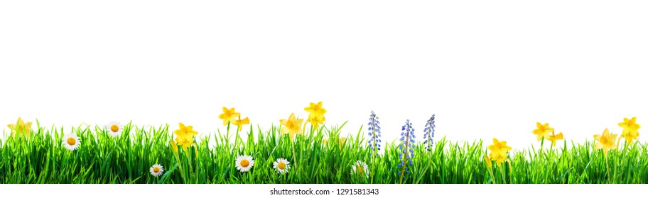 Grass Spring Flowers Background Stock Photo 1291581343 | Shutterstock