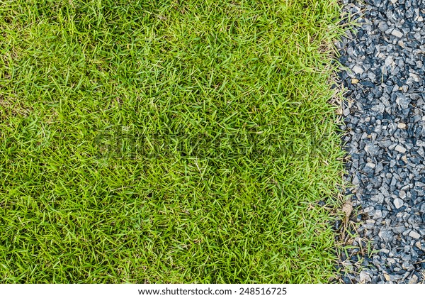 Grass Stone Texture Background Stock Photo 248516725 | Shutterstock