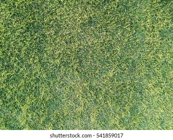 Grass Texture Stock Photo 541859017 | Shutterstock