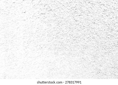 Grass Texture Background White Color Stock Photo 278317991 | Shutterstock