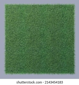Grass Texture Render Vray Stock Photo 2143454183 | Shutterstock