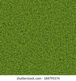 Grass Texture Top View Stock Photo 184795574 | Shutterstock
