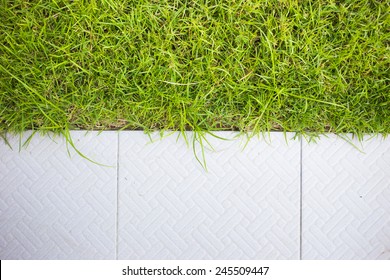 Grass Tile Background Stock Photo 245509447 | Shutterstock