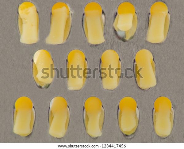 Grated Cheese Process Grating Cheese Grated Stock Photo 1234417456 ...