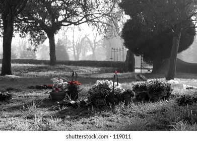 Stock Photo and Image Portfolio by Daniel Goodchild | Shutterstock