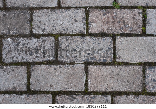 Gray Brick Path Moss Cracks Stock Photo (Edit Now) 1830299111