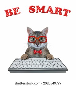 397 Programmer cat Stock Photos, Images & Photography | Shutterstock
