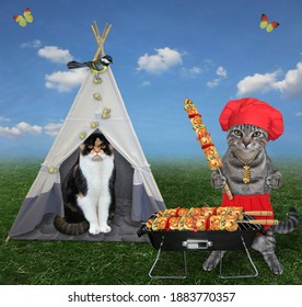 1,211 Cat barbecue Images, Stock Photos & Vectors | Shutterstock