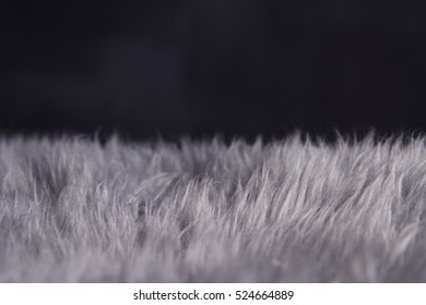 Gray Fur Background Stock Photo 524664889 | Shutterstock
