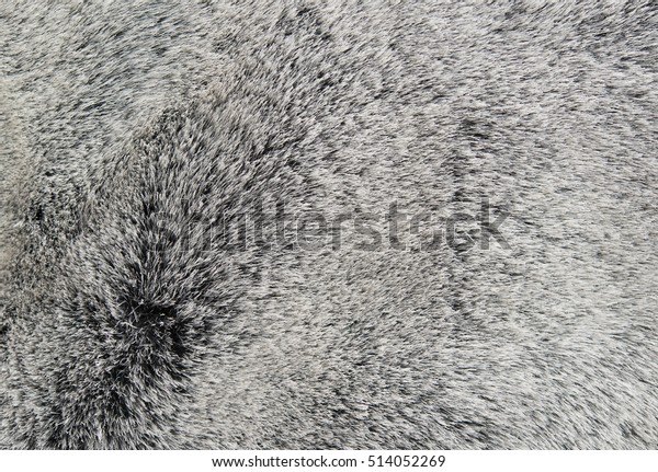 Gray Fur Texture Stock Photo 514052269 | Shutterstock