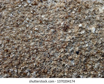 Gray Grain Texture Stock Photo 1370204174 | Shutterstock